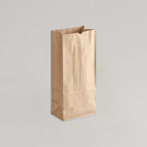 Small 5lb Kraft Paper Grab Bags – 250pk – ECONX